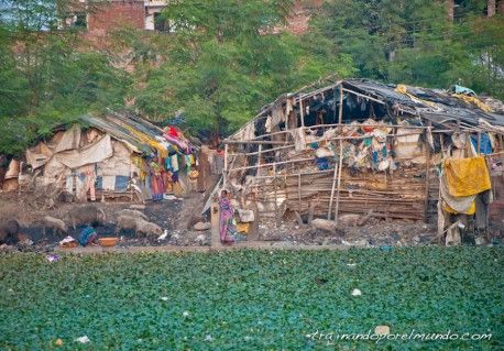 ONG India: Semilla para el cambio en Varanasi