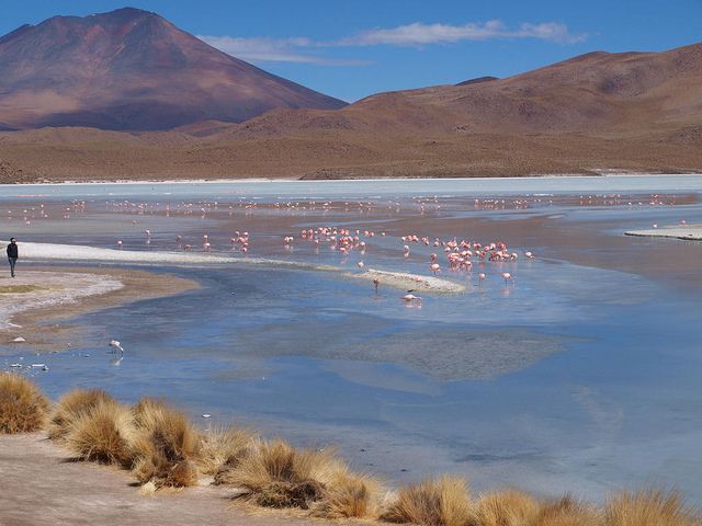 Desiertos blancos, lagunas de colores, paisajes de Dalí | Trajinando ...